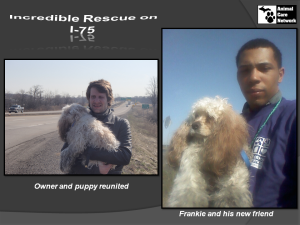 June 23, 2014: Incredible Rescue on I-75 » Michigan Animal Adoption Network