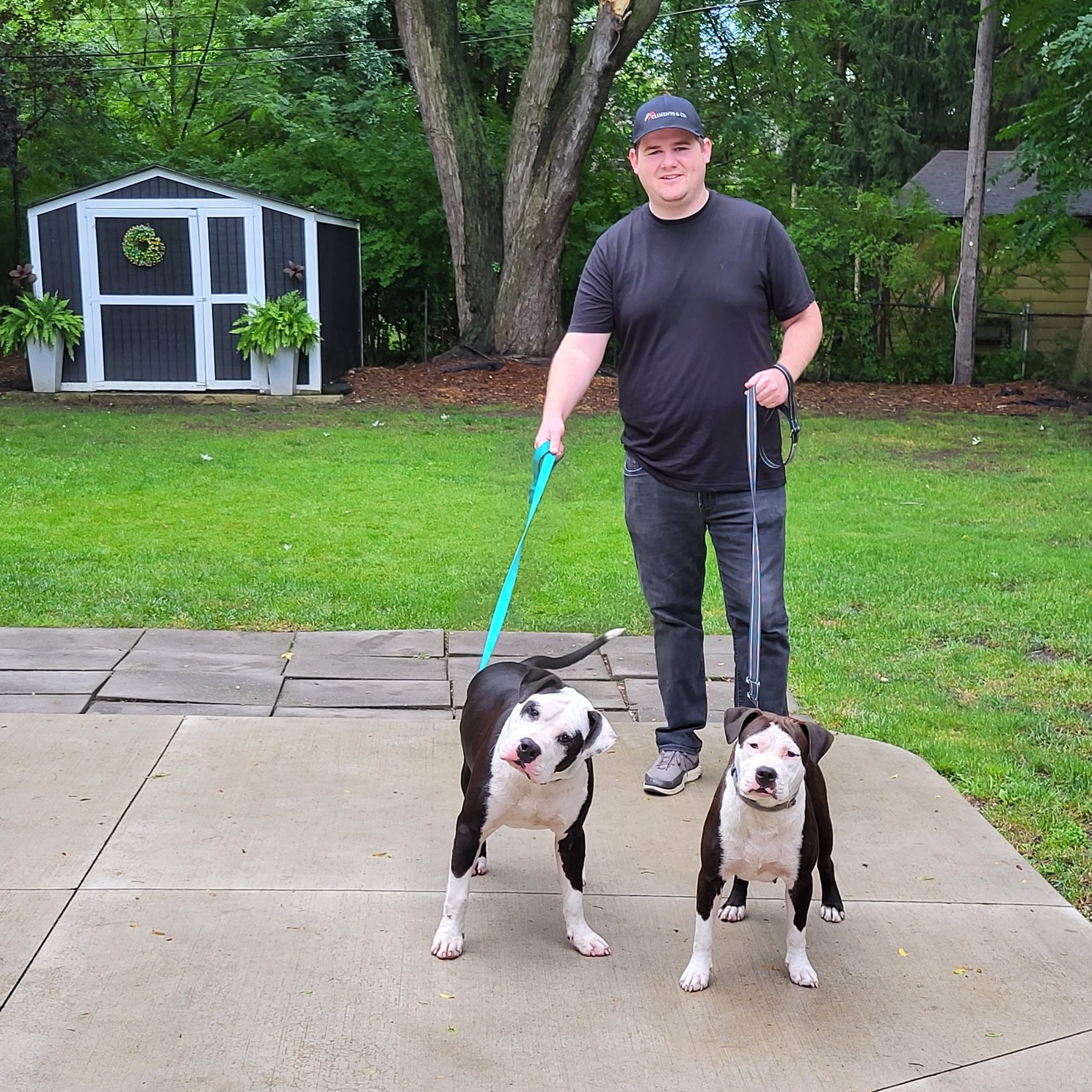 Michigan Animal Adoption Network » 501(c) 3 non-profit dedicated to ...